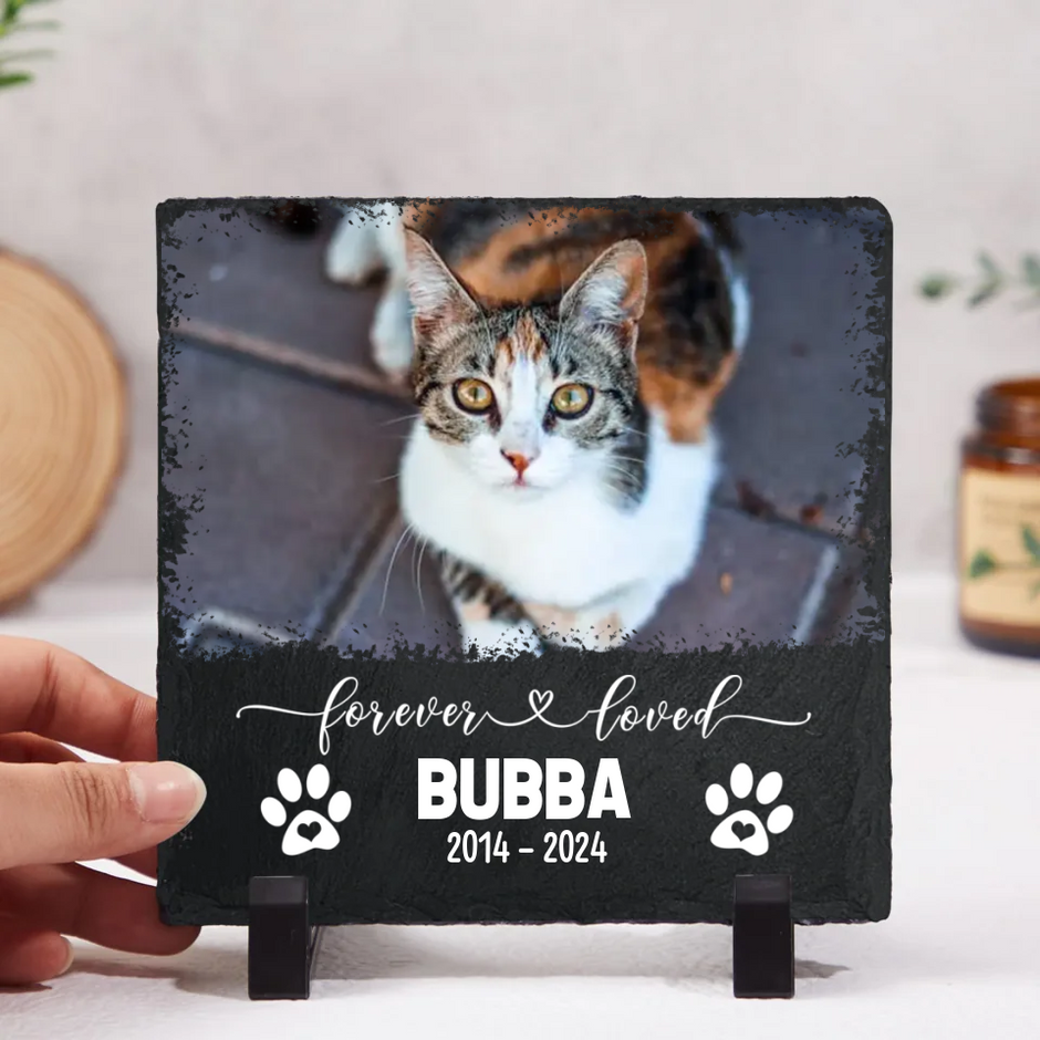 Heartfelt Cat Memorial Quotes to Honor Your Furry Companion